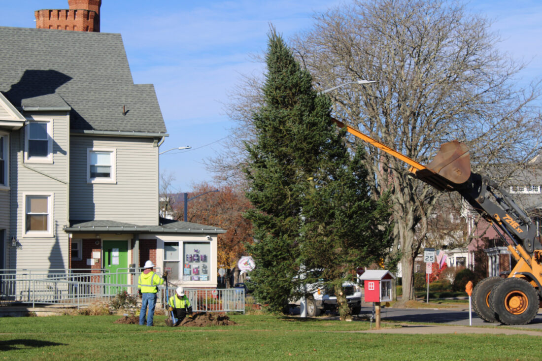 DLH to kick off holidays with tree lighting Sunday | News, Sports, Jobs ...